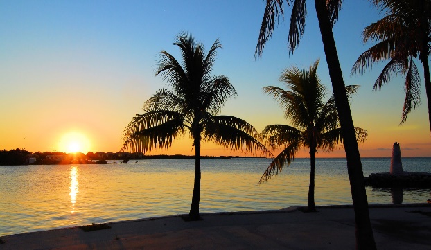 12 daagse rondreis voor Senioren naar FLORIDA – Reizen Senioren